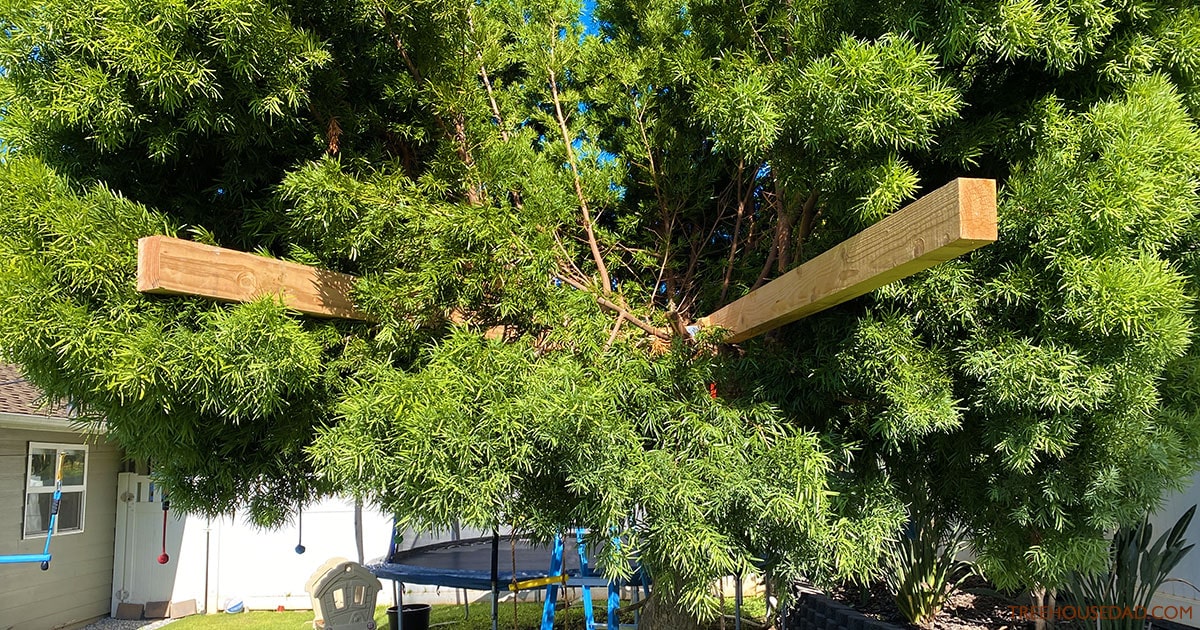 Treehouse building Steps and tips from the Treehouse Dad